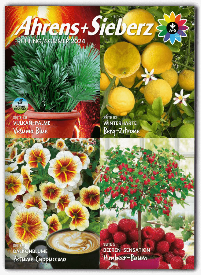 Garten Kataloge kostenlos bestellen