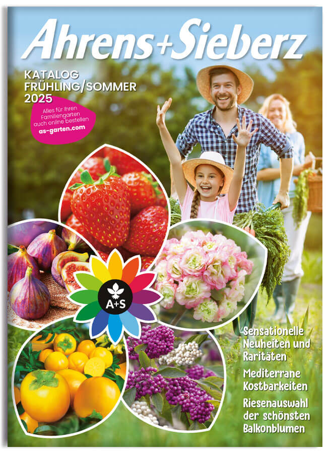 Kostenlose Kataloge und Reisekataloge online bestellen katalog.com